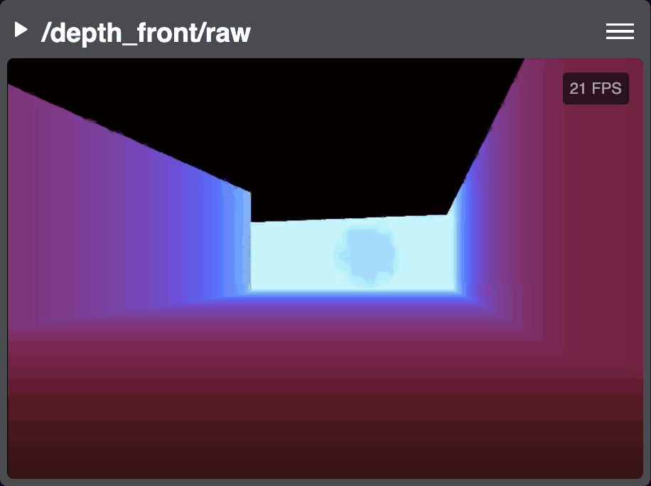 Video & Image Topics Transmission / PHNTM Bridge Documentation